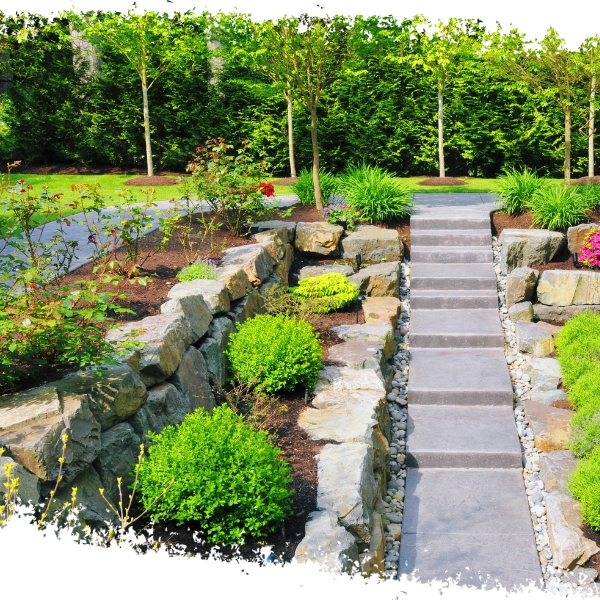 Landscaping - Central Alabama Services in Birmingham, AL